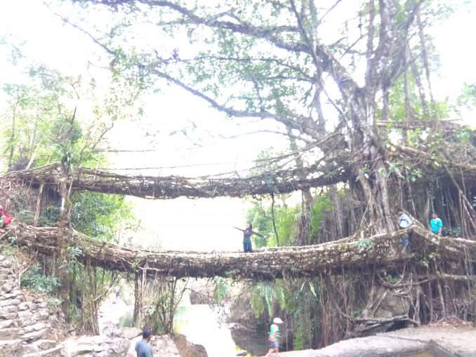 Best things to do in Shillong – A Complete Guide – Prince Patni